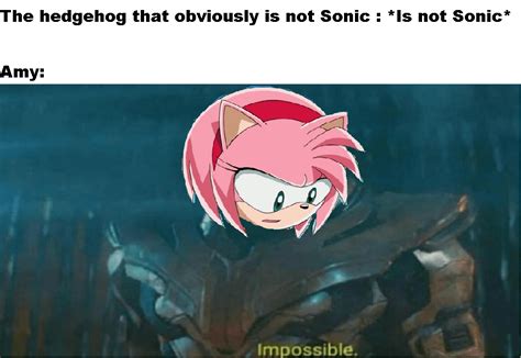 I Didnt Push Myself Much Rsonicthehedgehog