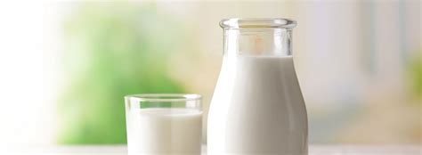 Ha Lactase
