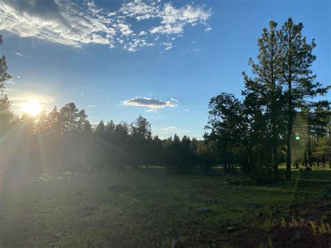 Redington Pass Arizona Off Road Trail Map And Photos Onx Offroad