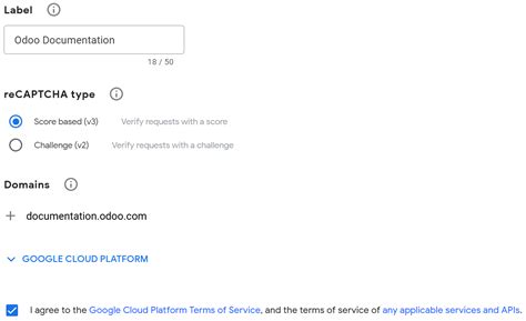 Forms Spam Protection — Odoo Master Documentation