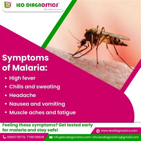 Leo Diagnostics On Linkedin Leodiagnostics Malariasymptoms