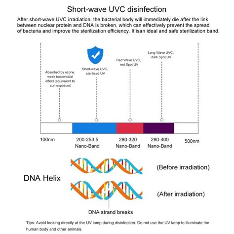 Uv Disinfection Package Ozone Led Uv Light Disinfe Grandado