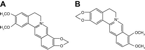 Chemical Structure Of Epi A And Berberine B Abbreviation Epi