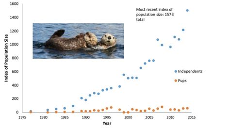 Sea Otter Graph A Cute Sea Otter Playing In The Water Flat Design