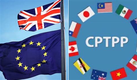 Brexit Pacific Trade Deal Could Damage Another Uk Industry