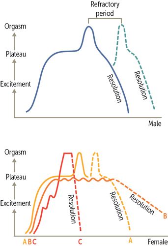 Lecture 94 Sexual Disorders Flashcards Quizlet