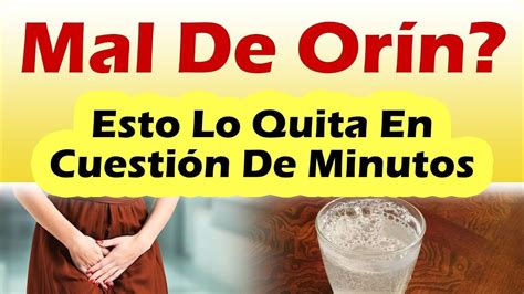 Infeccion Urinaria Remedios Caseros Como Quitar El Mal De Orin Rapido Y