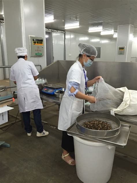 药学院仙茱中药社会实践队在行动（二） 新闻动态 广西中医药大学药学院