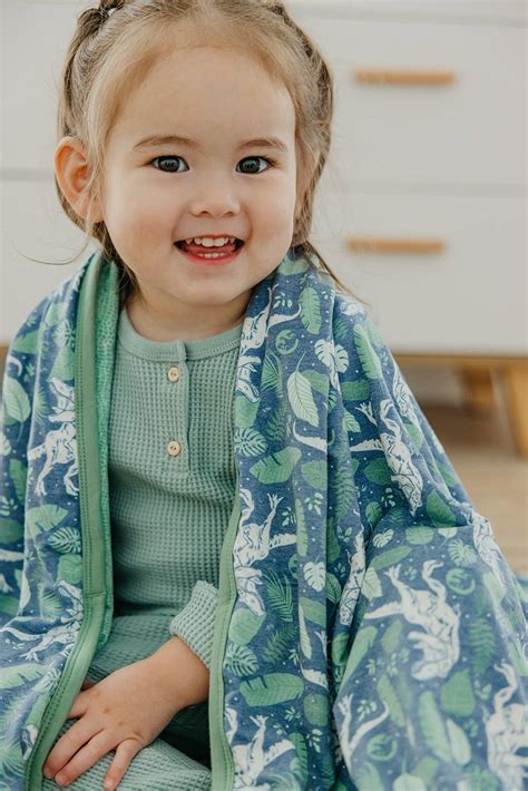 Jurassic Park 3 Layer Stretchy Quilt