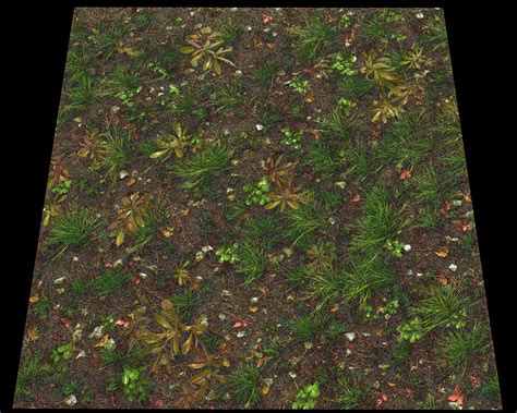 Forest Ground Texture Seamless