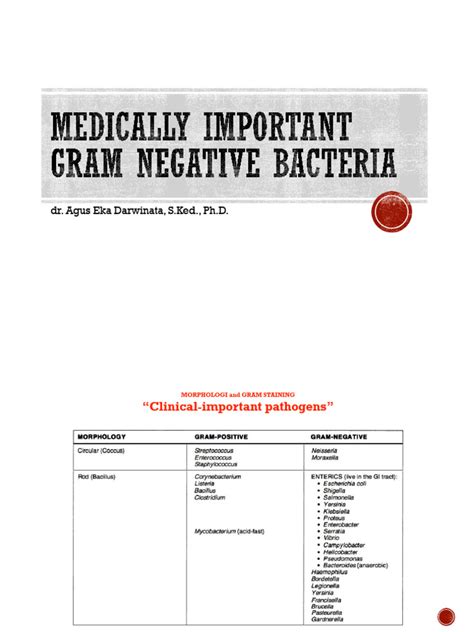 9 Medically Important Gram Negative Bacteria Pdf