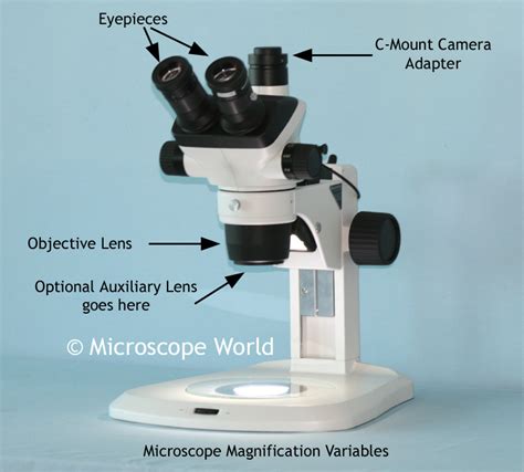 Microscope World Blog Stereo Microscope Magnification