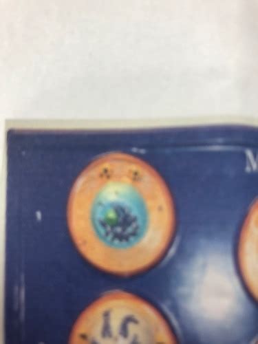 Mitosis Flashcards Quizlet Mitosis Flashcards Quizlet