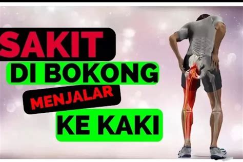 Sindrom Piriform Penyebab Gejala Dan Solusi Untuk Mengatasi Nyeri Di Bokong Dan Kaki Timenews