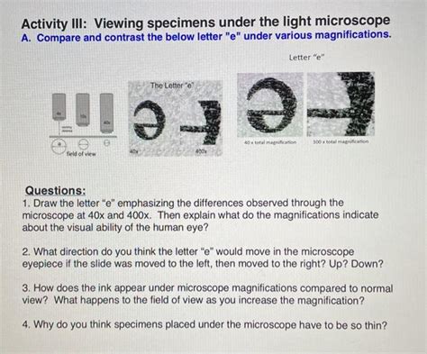 Activity Iii Viewing Specimens Under The Light
