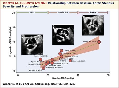 Aortic Stenosis Progression A Systematic Review And Meta Analysis