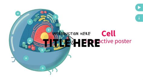 Interactive Cell Poster
