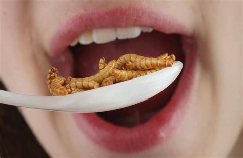 Chinese People Eating Bugs