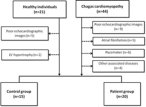 The Volume Time Curve By Three Dimensional Echocardiography In Chagas