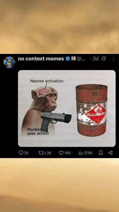 Neuron Activation Funny Memes Explosion Youtube