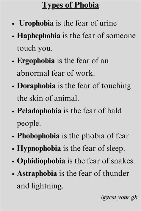 Best 11 List Of All Phobias In The World Artofit