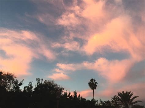 Insta Story Or Nah Jennifer Matsumoto