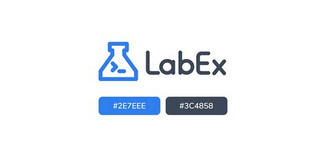 Labex Logo Figma