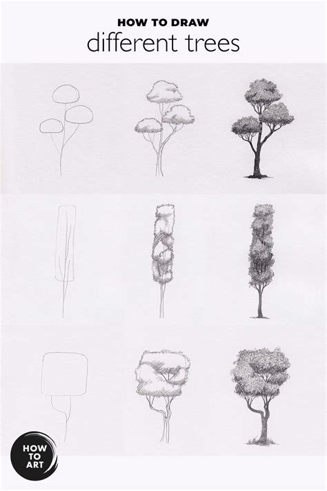 How To Draw Trees In Steps Tree Drawing One Perspective Drawing Nature Drawing
