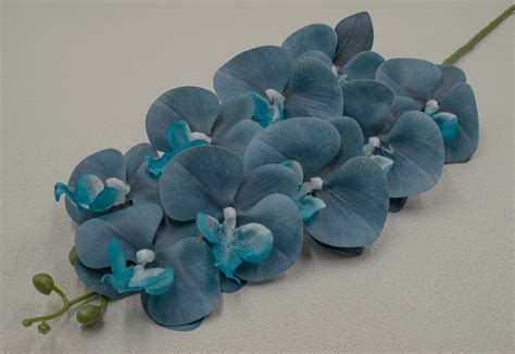 Ветка орхидея Флоренция — купить оптом в Ростове на Дону