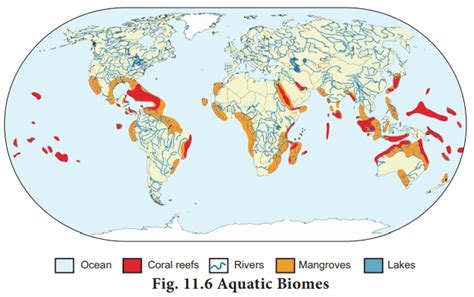 Freshwater Biome Map Lesson 13 Biomes And Aquatic Ecosystems Diagram