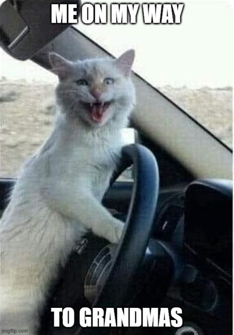 Im On My Way Cat Meme At Jaxon Cockerill Blog