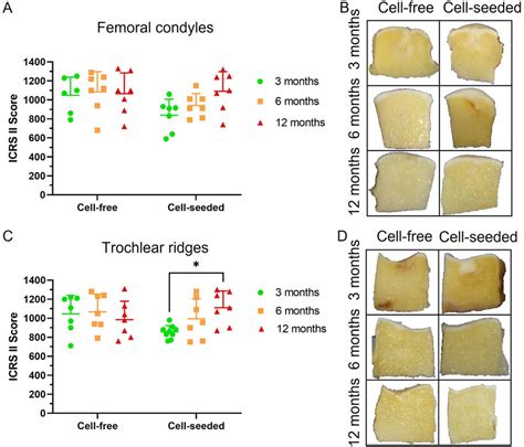 Overall Icrs Ii Scores For Femoral Condyle And Trochlear Ridge Defect