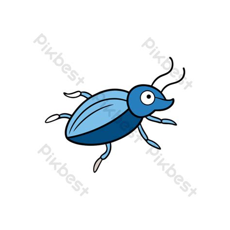 Beetle Bug Swims Colorful Isolated Vector Png Images Free Download Pikbest