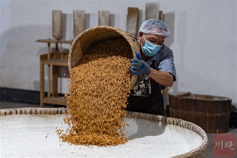 C视觉丨百年非遗 先市酱油 新豆入缸 传统酿造焕生机丨活力中国调研行四川在线