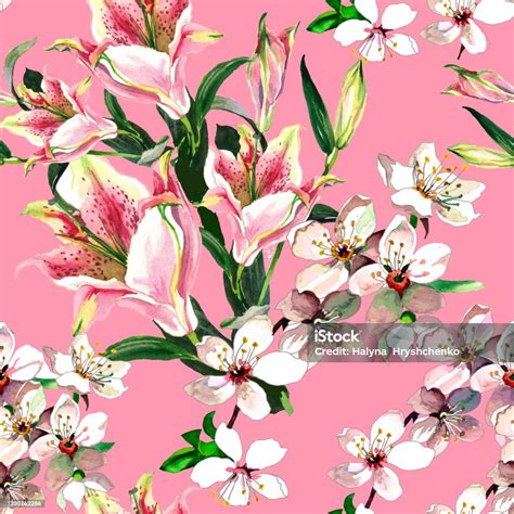 수채화 백합과 살구가 분홍색 매끄러운 패턴으로 가지를 피웁니다 꽃 식물에 대한 스톡 벡터 아트 및 기타 이미지 꽃 식물 분홍색 배경 0명 Istock