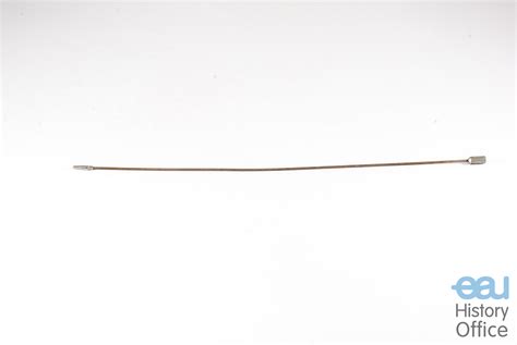 Flexible Probe EAU European Museum Of Urology