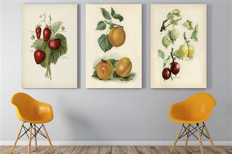 Vintage Fruit Wall Art At Sarah Solomon Blog