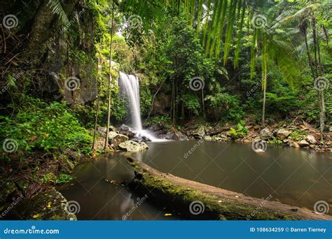 Curtis Falls In Mount Tamborine National Park On The Gold Coast Stock