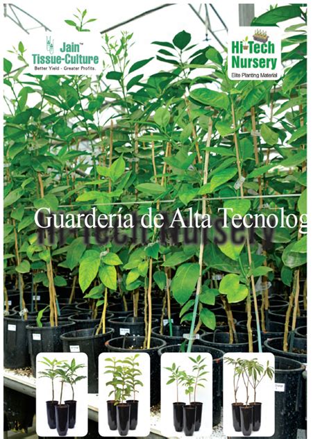 Detalles De Jain Hi Tech Nursery Pdf Agricultura Horticultura