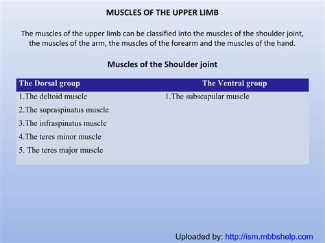 Muscles And Topography Of The Upper And Lower Limb Ppt