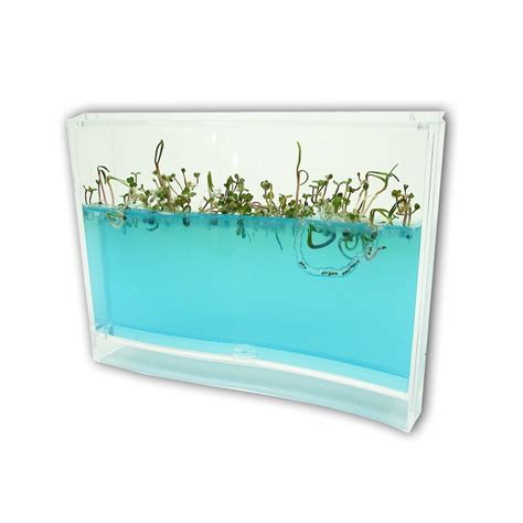 Acvariu Pentru Furnici Edu Lab Ro