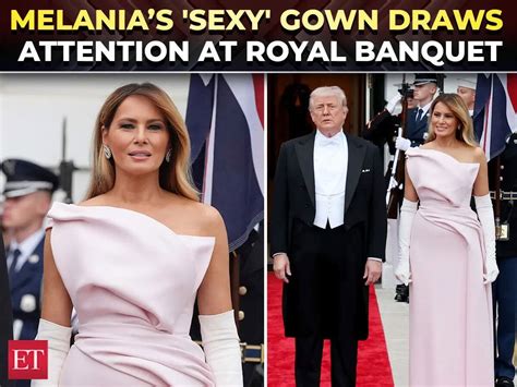 Melania Trump Stuns In Strapless Pink Gown At White Tie Dinner Trolled