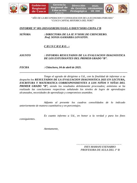 Informe De Evaluacion Diagnostica 2025 Pdf