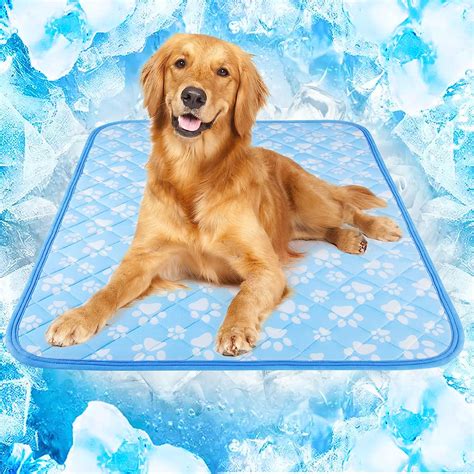 This Cooling Pet Mat Helps Absorb Heat To Keep Your Dog Cool