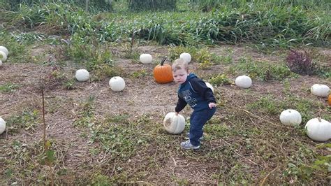 Mr Peppers Pumpkin Patch Laurel De