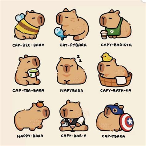 Capibaras Cute Doodles Cute Cartoon Drawings Cute Easy Doodles
