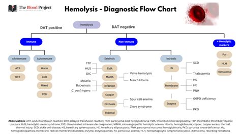 Hemolytic Anemias • The Blood Project