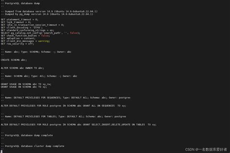 Postgresql 备份dbearver备份postgres全是二进制 Csdn博客