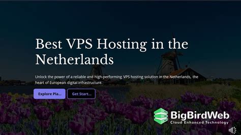 best vps hosting in the netherlands vpshosting bigbirdweb youtube