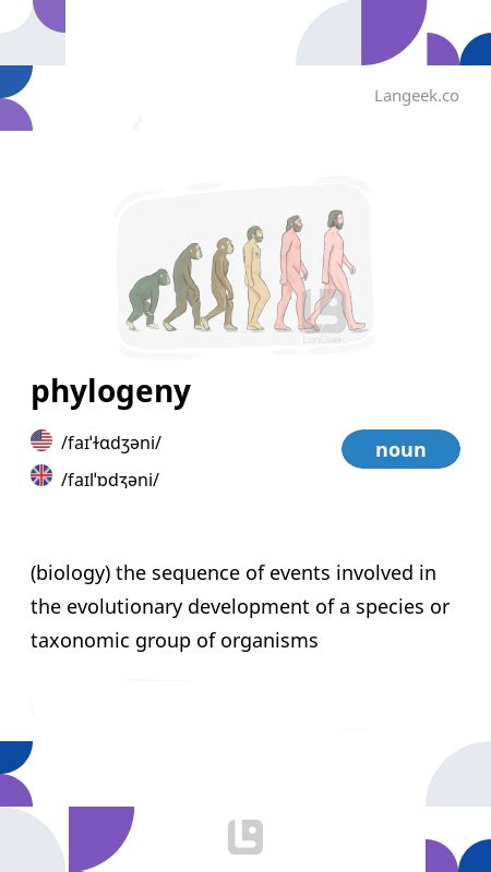 Definition And Meaning Of Phylogeny Picture Dictionary